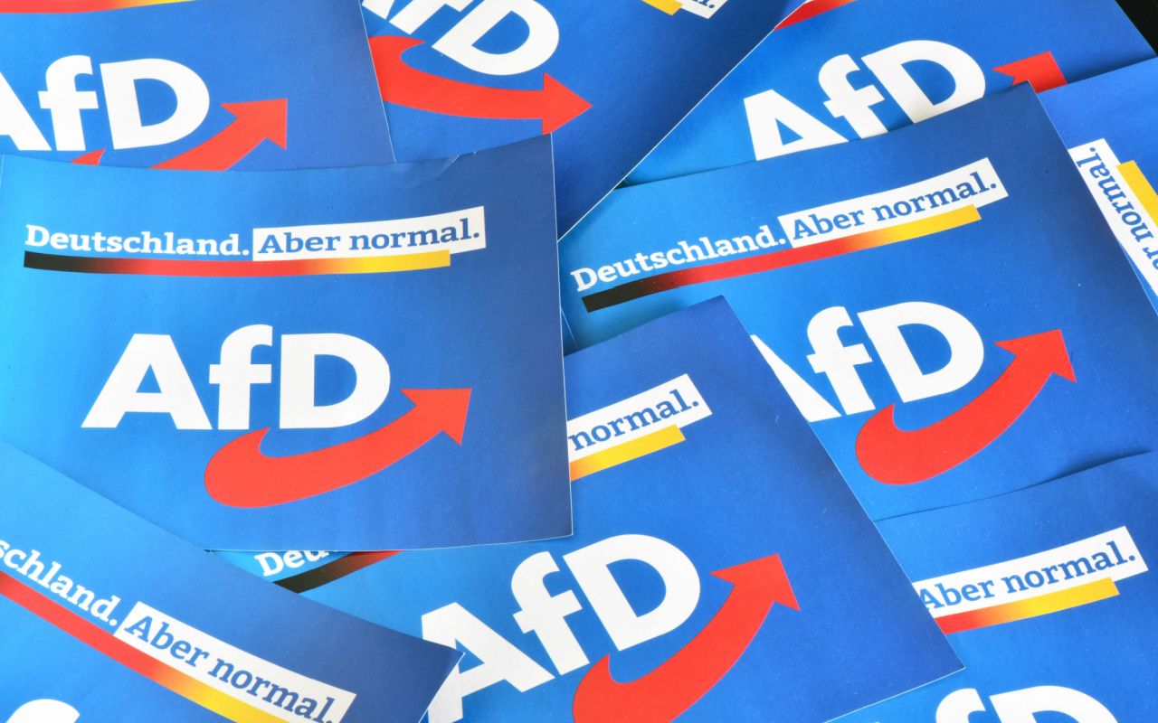 Jewish leaders concerned after Germany’s far-right AfD party makes ...