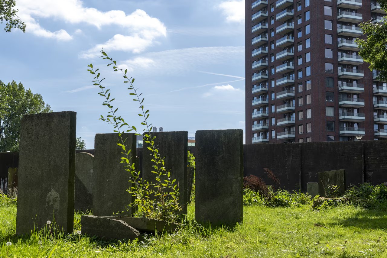 Police investigating grave desecration at Jewish cemetery in Amsterdam ...